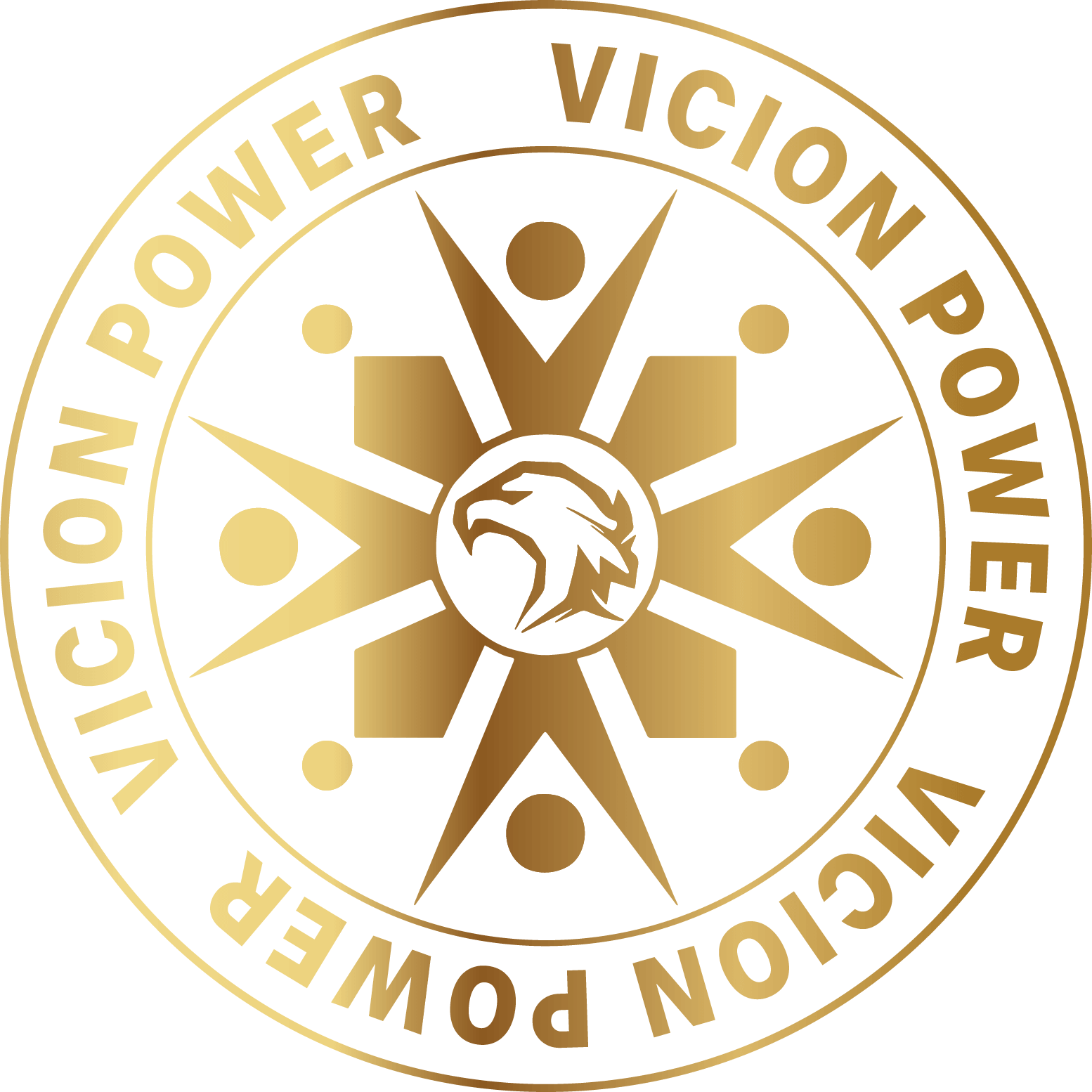 Vicion Power vicion-power